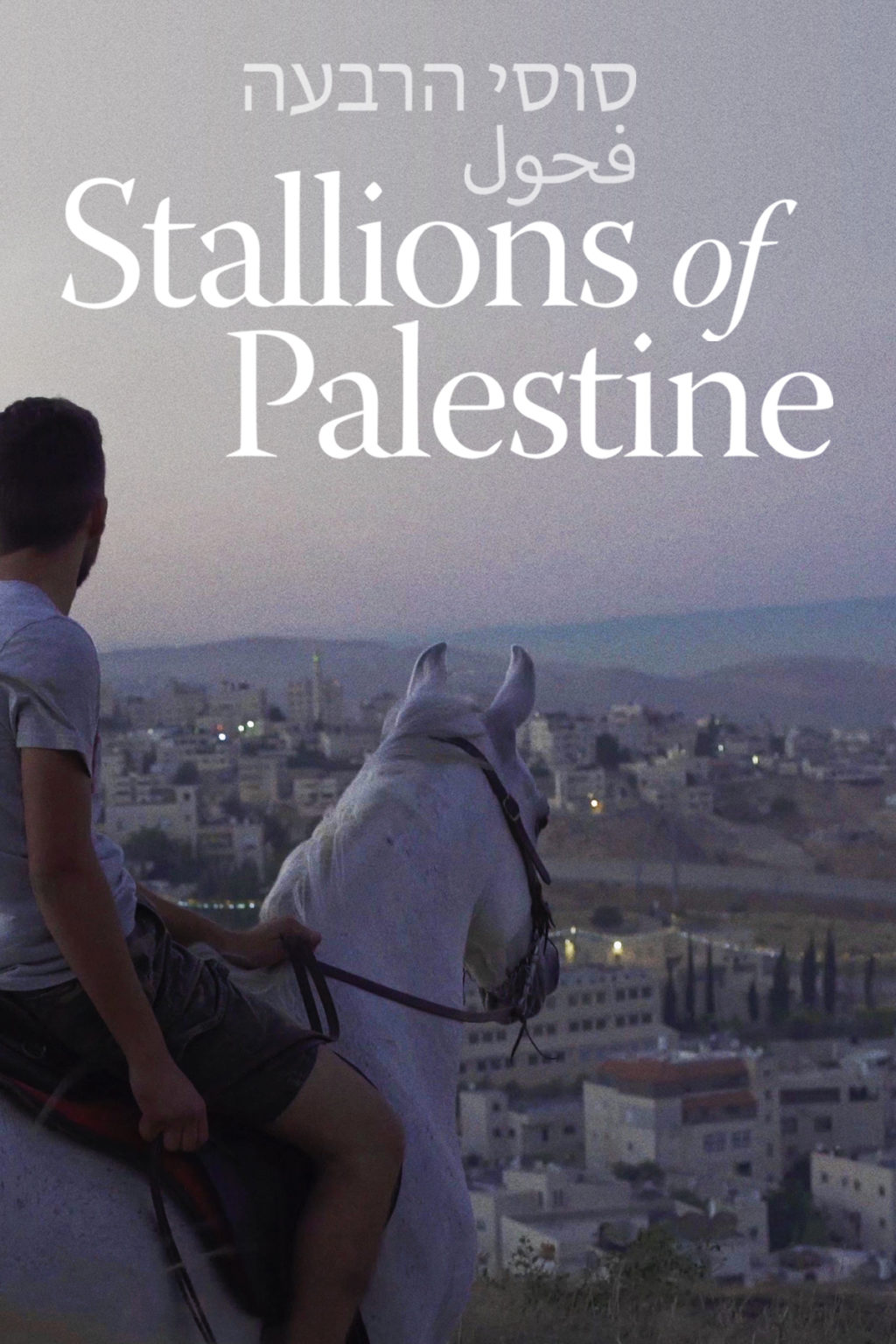 In "The Stallions of Palestine," Love of Horses Defies Conflict