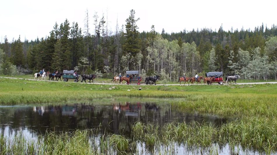 Ride Through the Shadows of the Canadian Rockies in “The Valley of Wild ...
