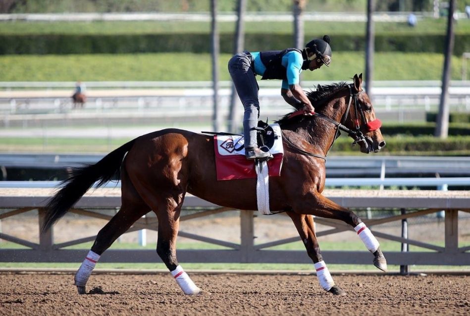 Pace Makes the Race on the Track; Grace Makes the Race in Life