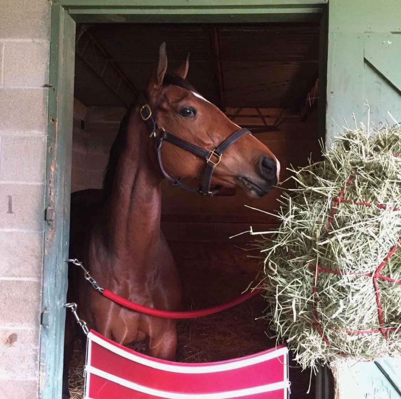 Pace Makes the Race on the Track; Grace Makes the Race in Life