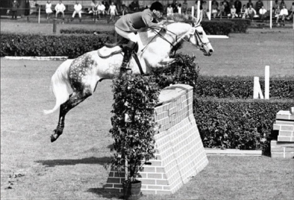 The Essential History of Show Jumping