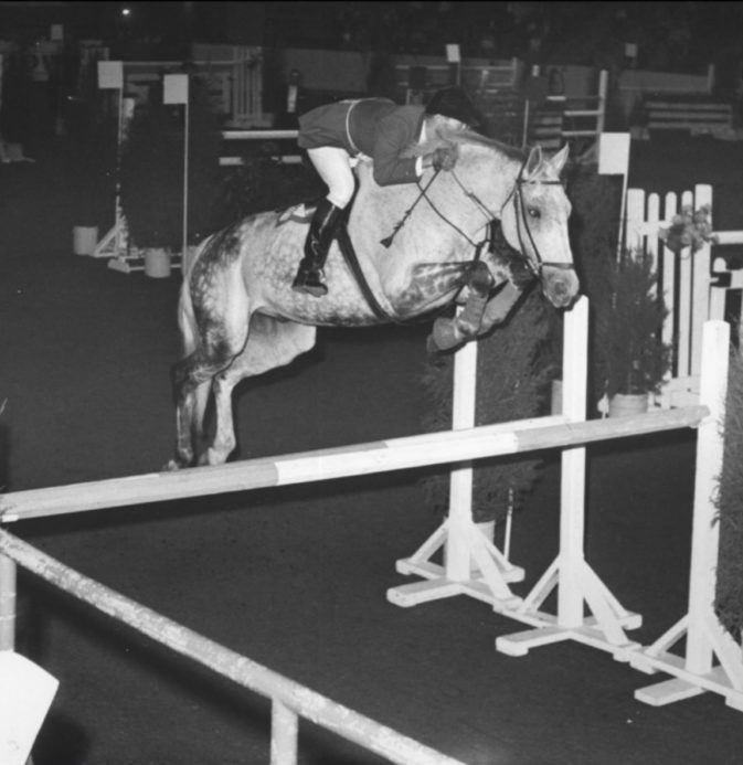 The Essential History of Show Jumping