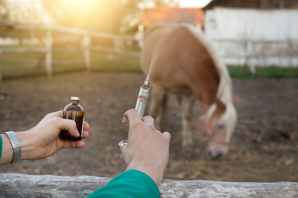 Titers and Other Vaccination Considerations
