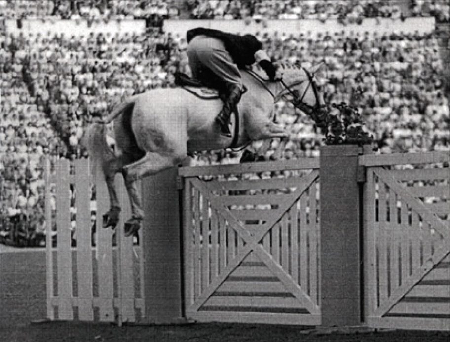 Brilliant Miss Budweiser