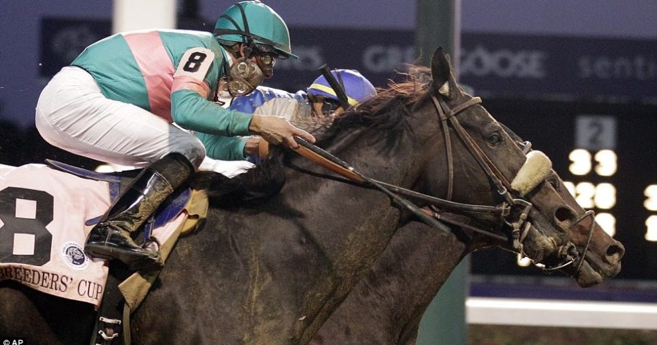 Perhaps Not Every Racemare Should Become a Broodmare: the Example of ...