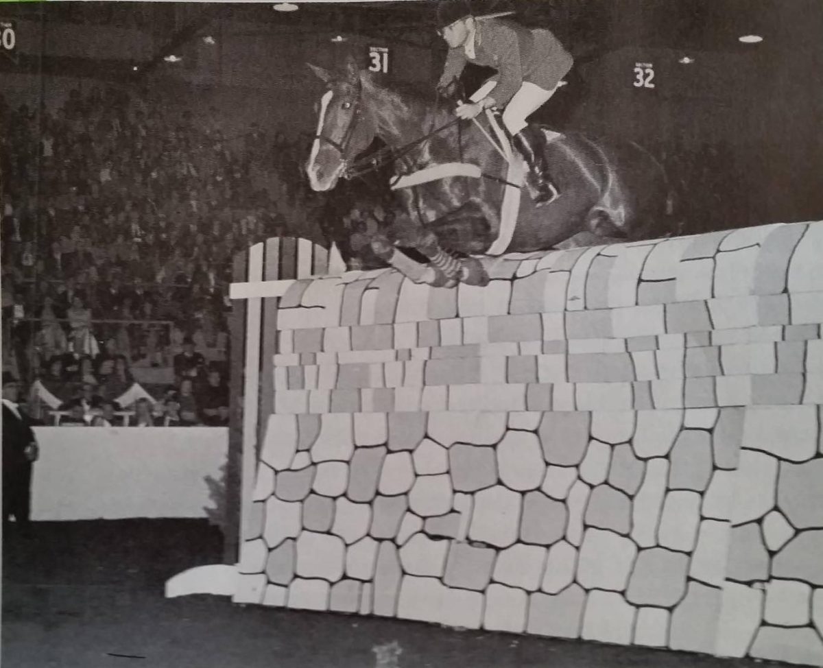San Lucas, a Horse for the History Books