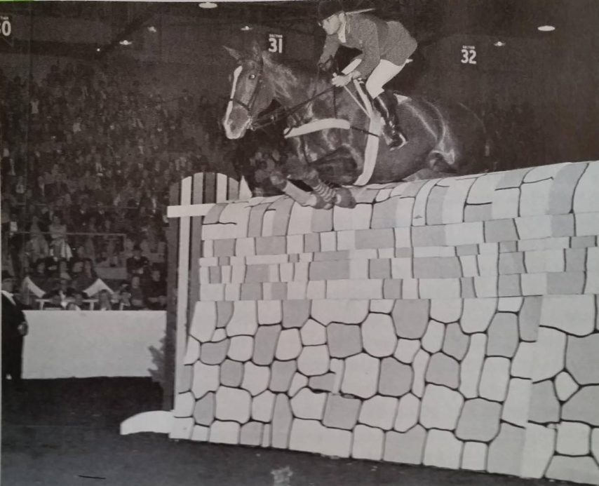 San Lucas, a Horse for the History Books