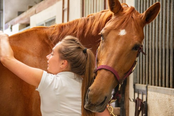 Horse Owner’s Legal Guide to Care