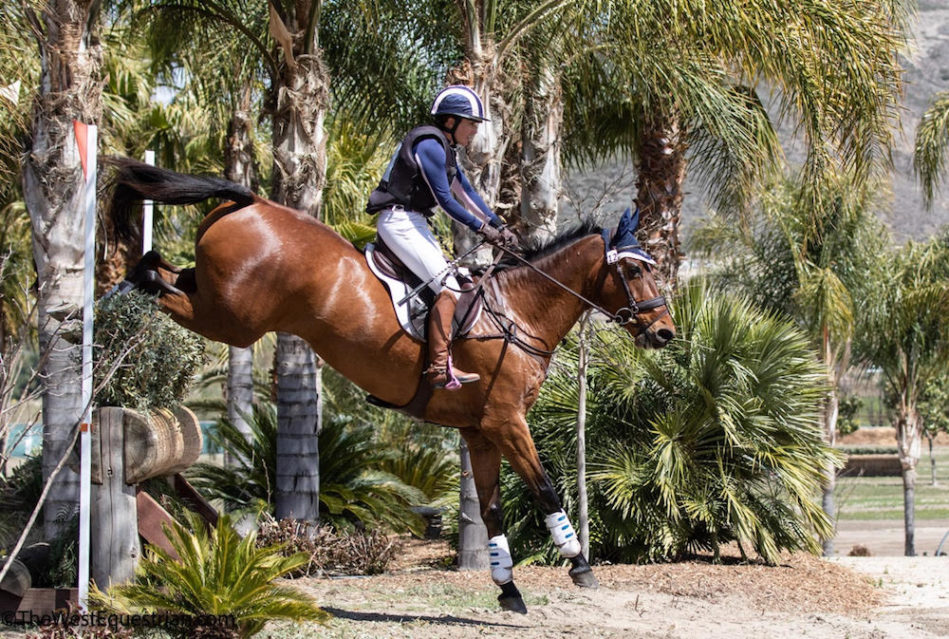 Beginner's Guide to Free Riding