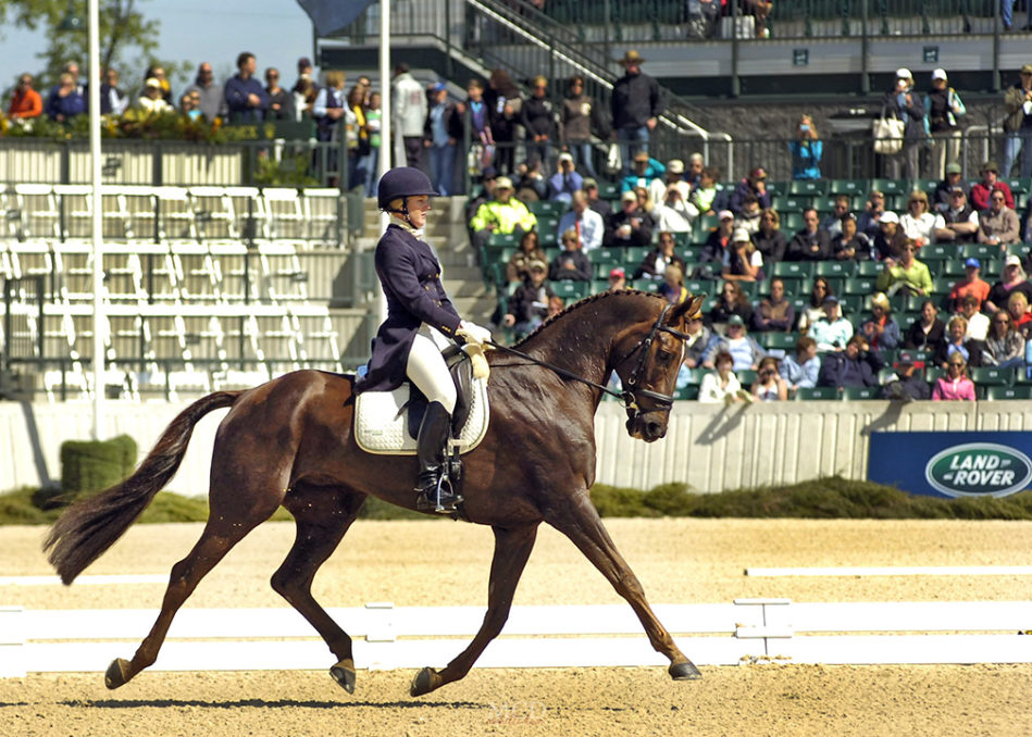 Allison Springer and the Simple Decision that Helped Change Equestrian ...
