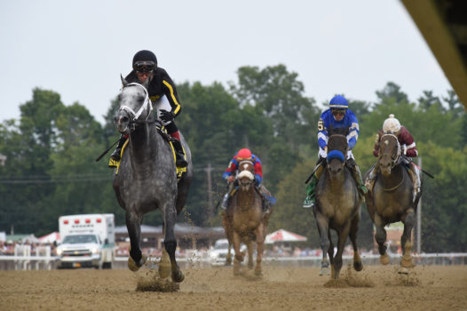 Knicks Go Retires With Eclipse Award Trophy Haul