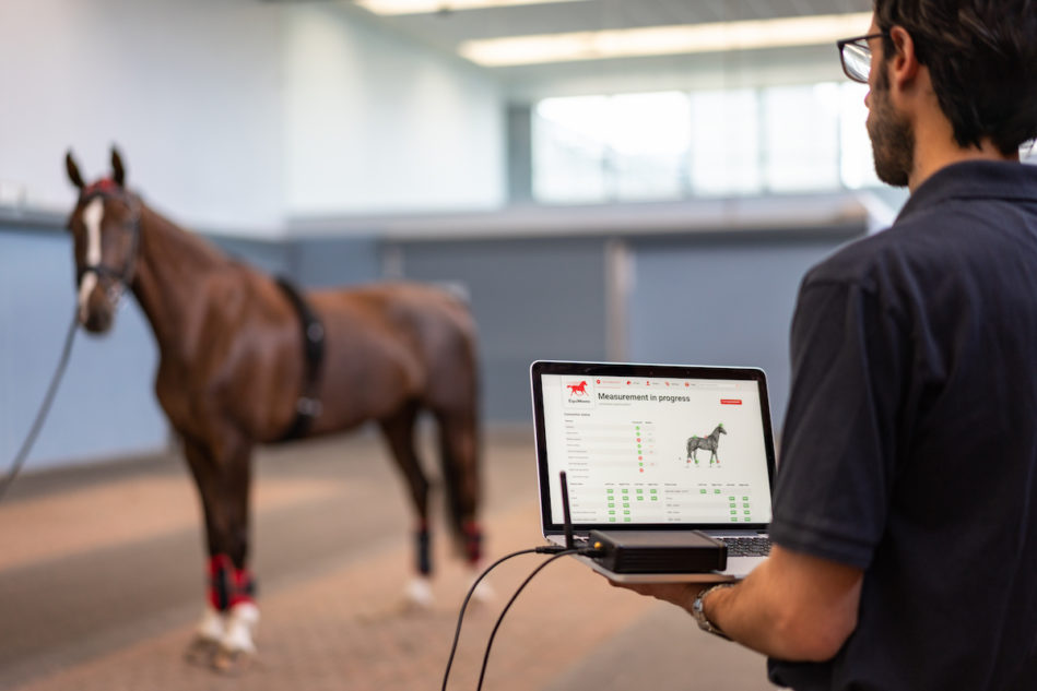 Health Archives | Horse Network