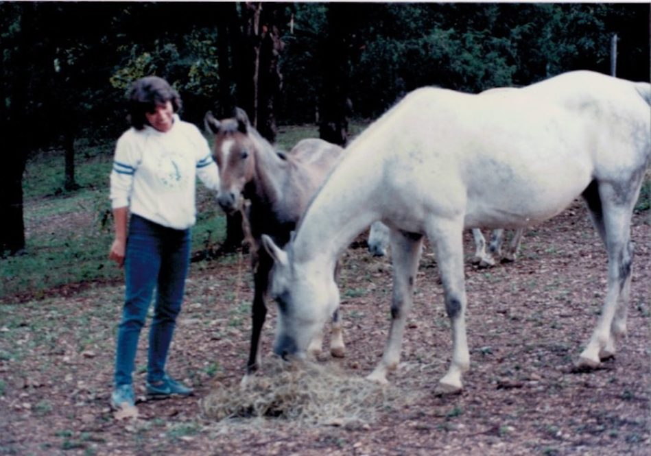 The Enduring Magic of Janet Dailey