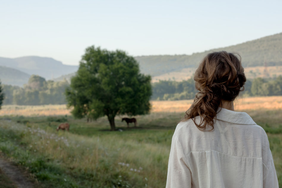 Come the Apocalypse, Consider the Horse Farm