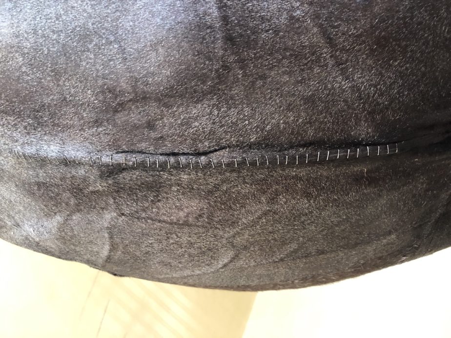 A Horse Owner’s Guide to Colic Surgery Recovery