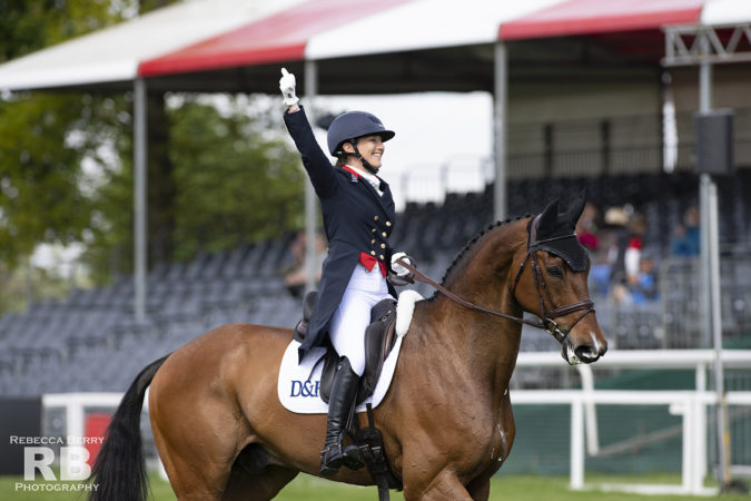 Two Times a Gelding: A Cryptorchid Stallion's Journey to Becoming a Gelding