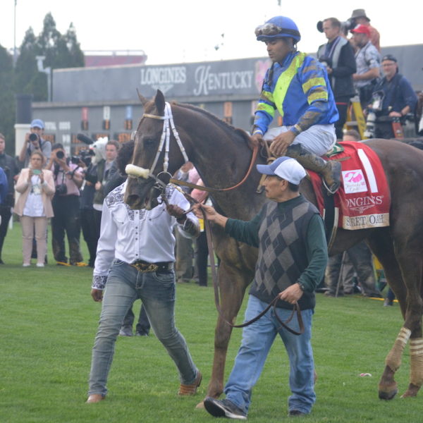 Holy Roller: The Biggest Racehorse Ever