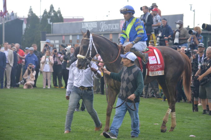 Two Times a Gelding: A Cryptorchid Stallion's Journey to Becoming a Gelding