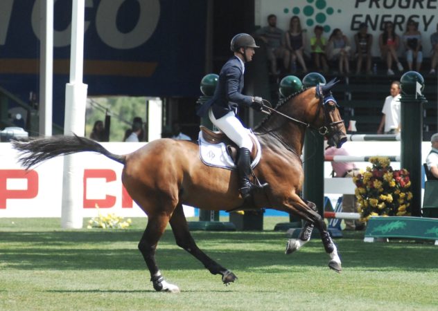 The Neck Is the Gateway to the Horse