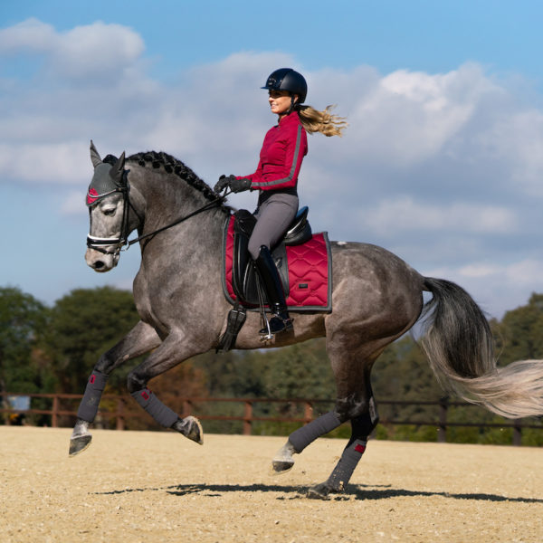 How To Cut a Mane Like a Pro In 7 Steps