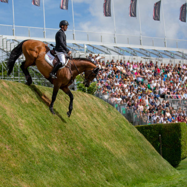 Holy Roller: The Biggest Racehorse Ever
