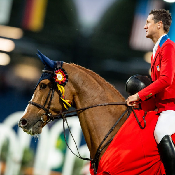 Two Times a Gelding: A Cryptorchid Stallion's Journey to Becoming a Gelding