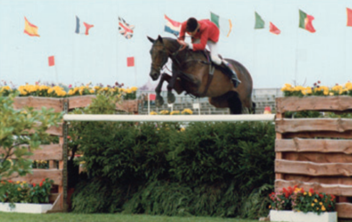 Two Times a Gelding: A Cryptorchid Stallion's Journey to Becoming a Gelding