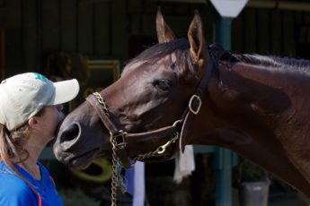 HISA: The Greatest Regulatory Change in Thoroughbred Racing History