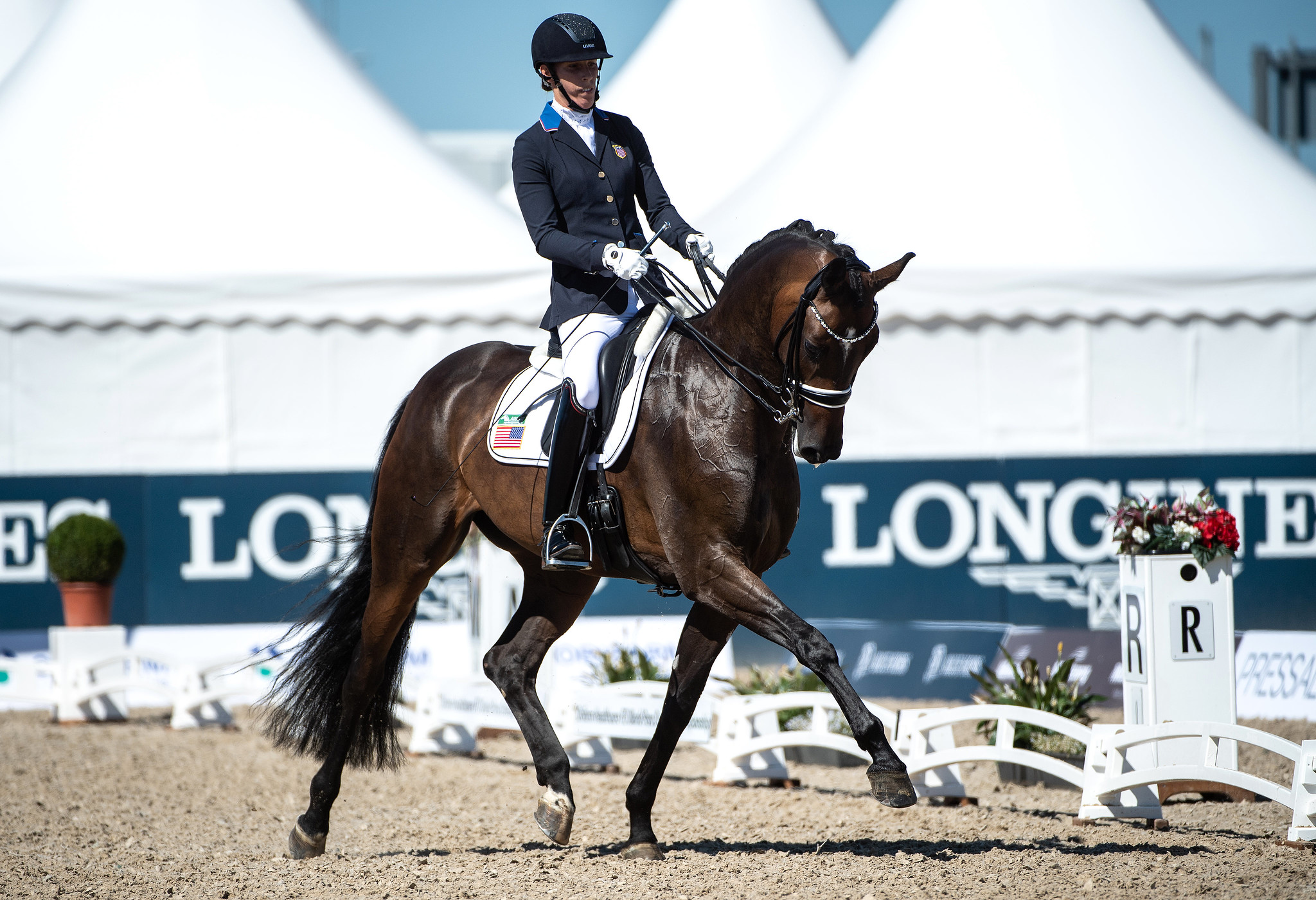 Para Dressage Team Championship Goes Dutch