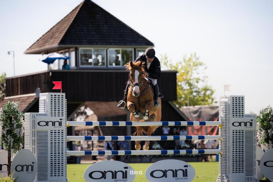 Welcome to the World of Competitive Hobbyhorse