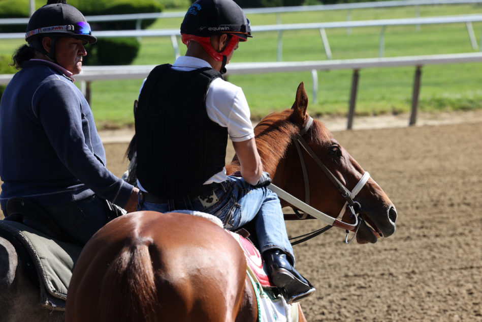 Video of the Soaring Rocket Horse