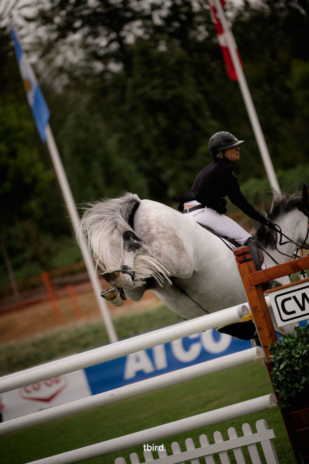 Jaimie Ackerman Works Hard for Her Wins