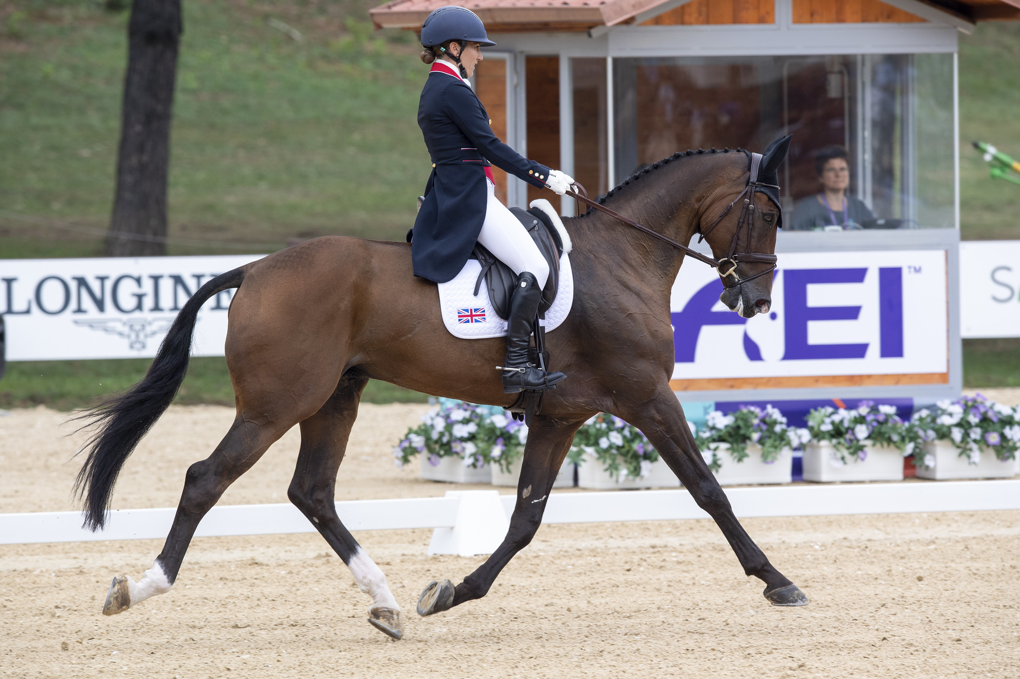 London Leads FEI Eventing World Championships