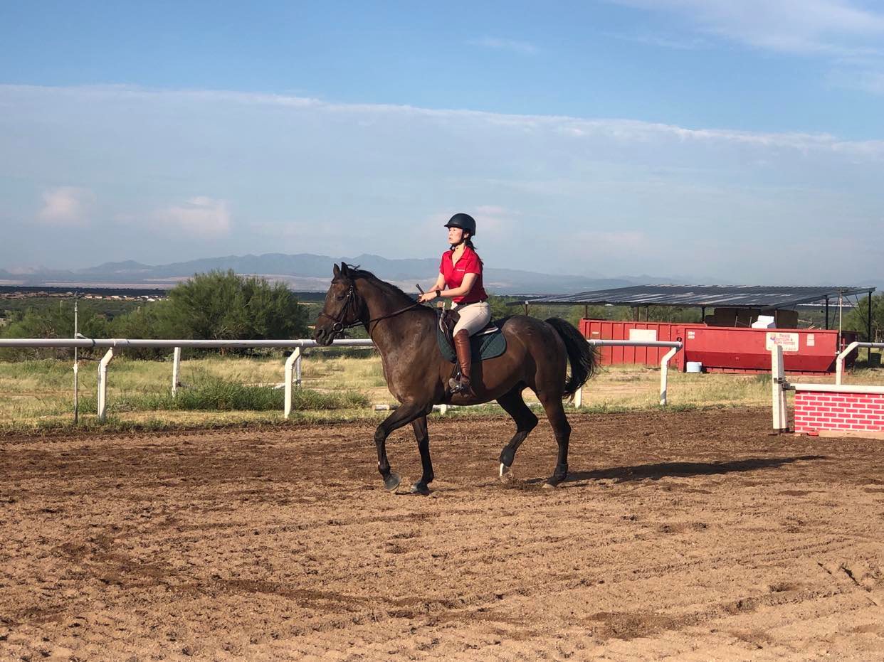 Reconociendo el límite - todoparamicaballo