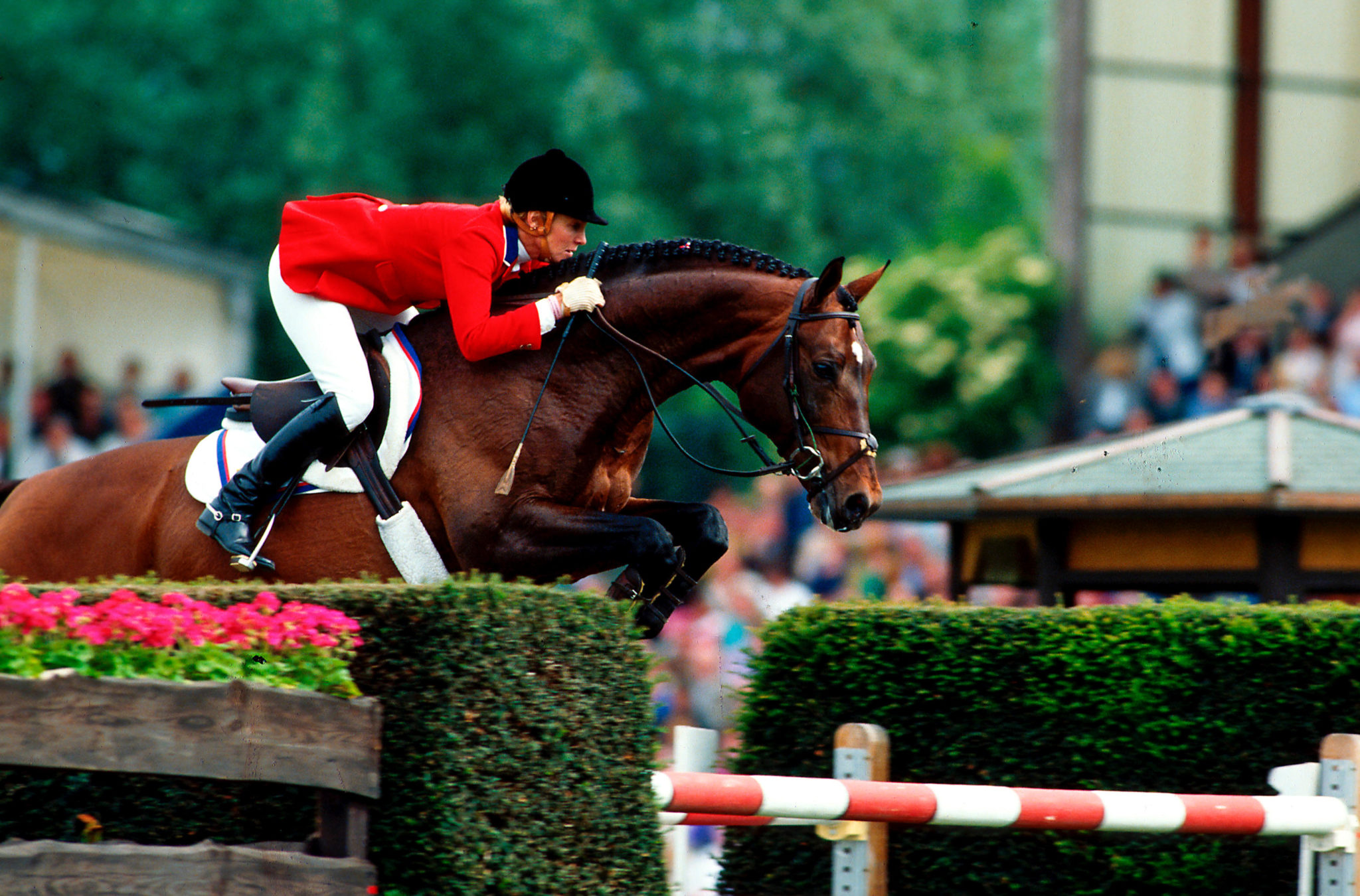 Show Jumping Hall of Fame, Author at Horse Network