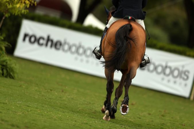 How Alfonso Romo Garza & La Silla Have Made Mexican Show Jumping a ...