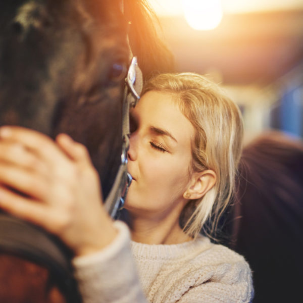 How To Cut a Mane Like a Pro In 7 Steps