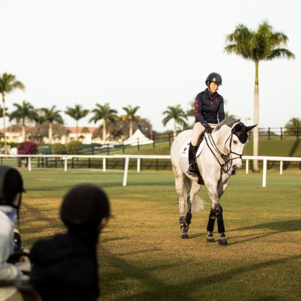 How To Cut a Mane Like a Pro In 7 Steps