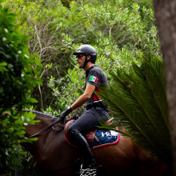 How To Cut a Mane Like a Pro In 7 Steps