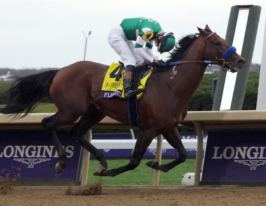 Flightline Takes Flight in Horse Racing and Beyond