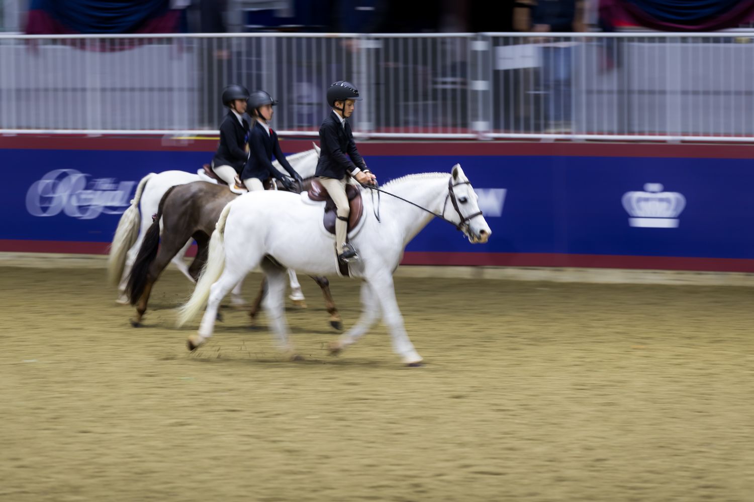 The RAWF Ponies Photo Book