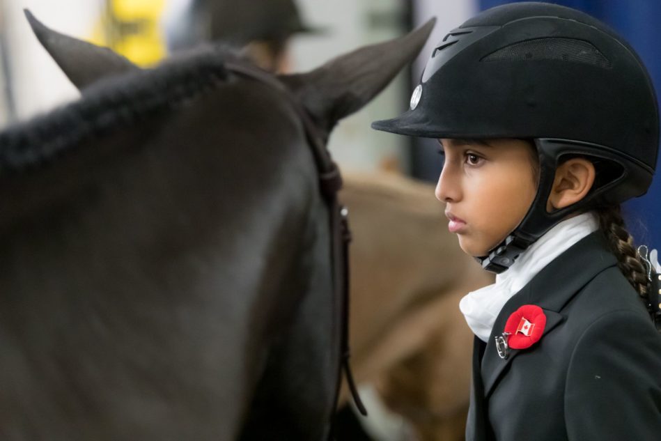 The RAWF Ponies Photo Book