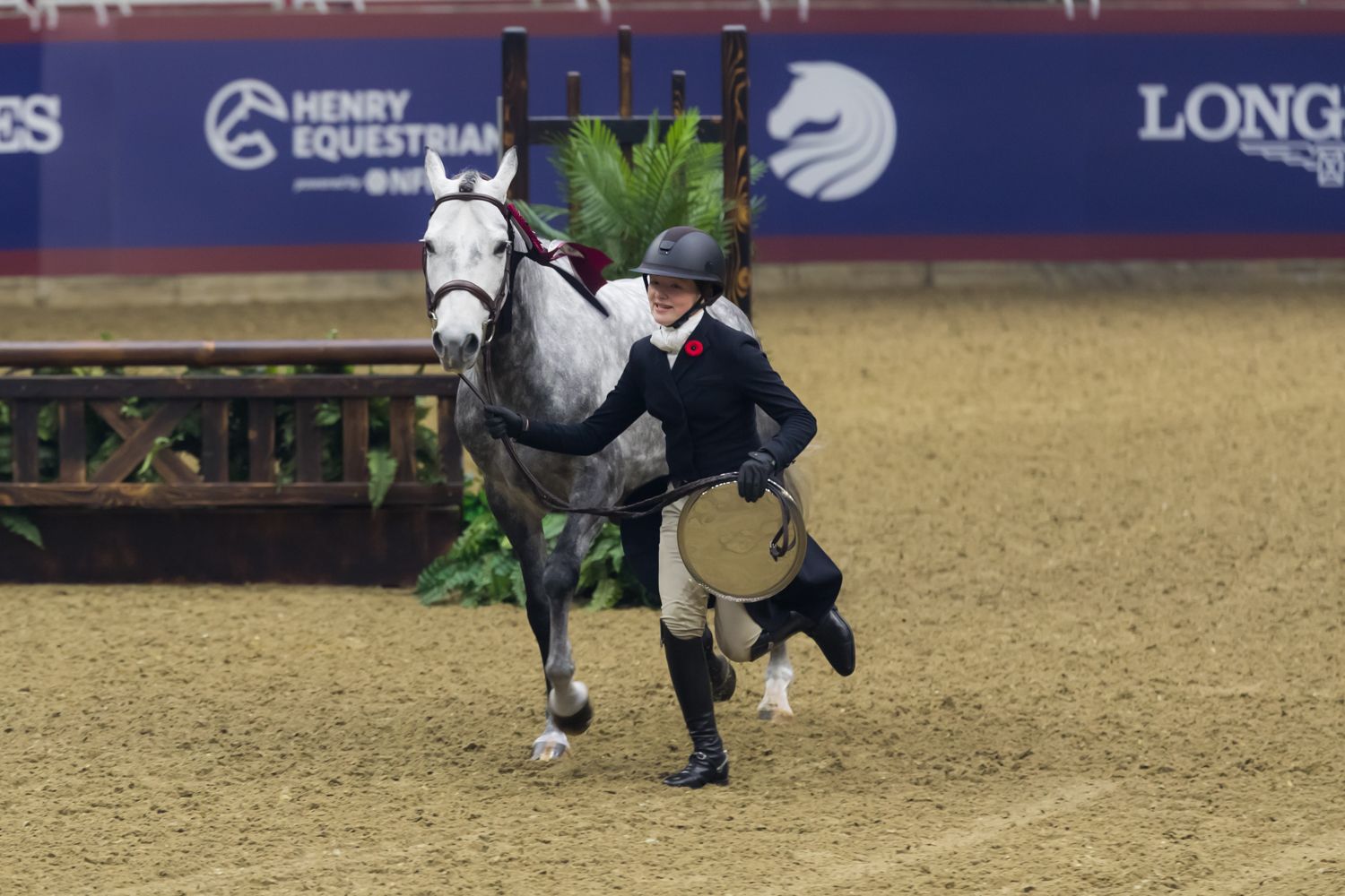The RAWF Ponies Photo Book