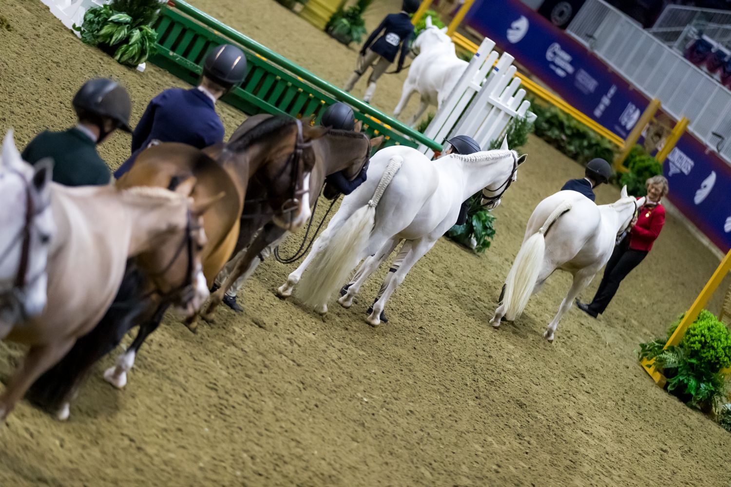 The RAWF Ponies Photo Book