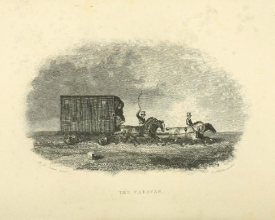 The History of Horse Trailers