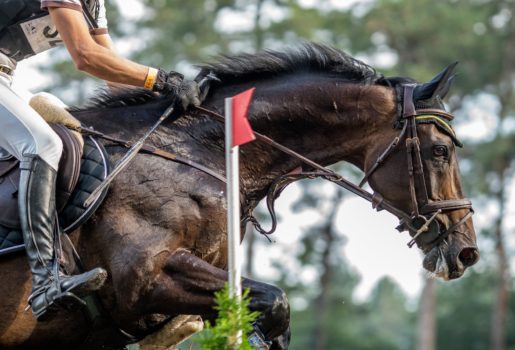 Squad Goals: Meet the Riders of the 2023 Eventing Emerging Athlete Program