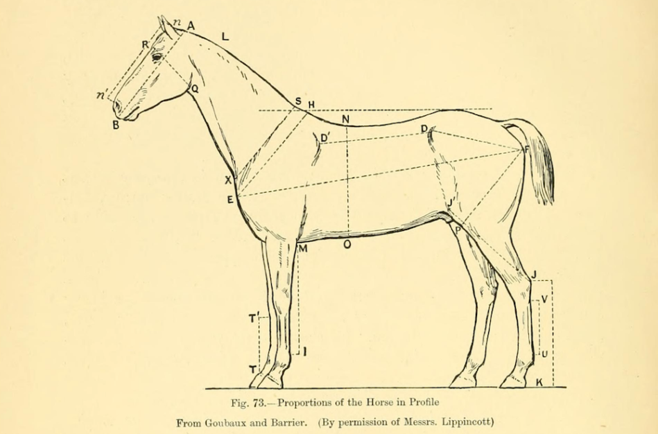 Conformation and the Mystery Behind Figure 73