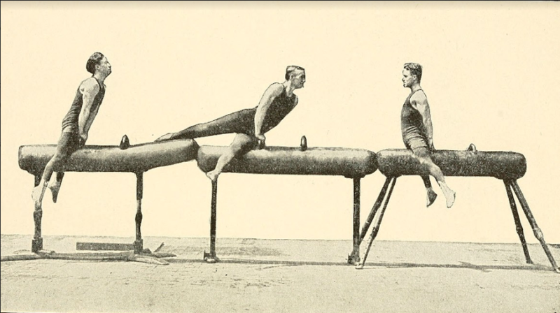 Hold Your Pommel Horses