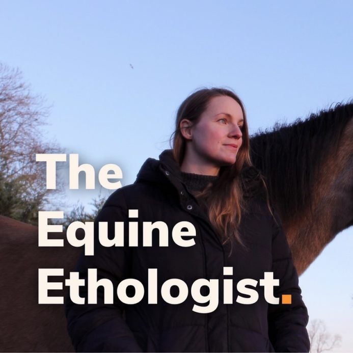 Ask the Ethologist: What's with the Scary Corner of Death?