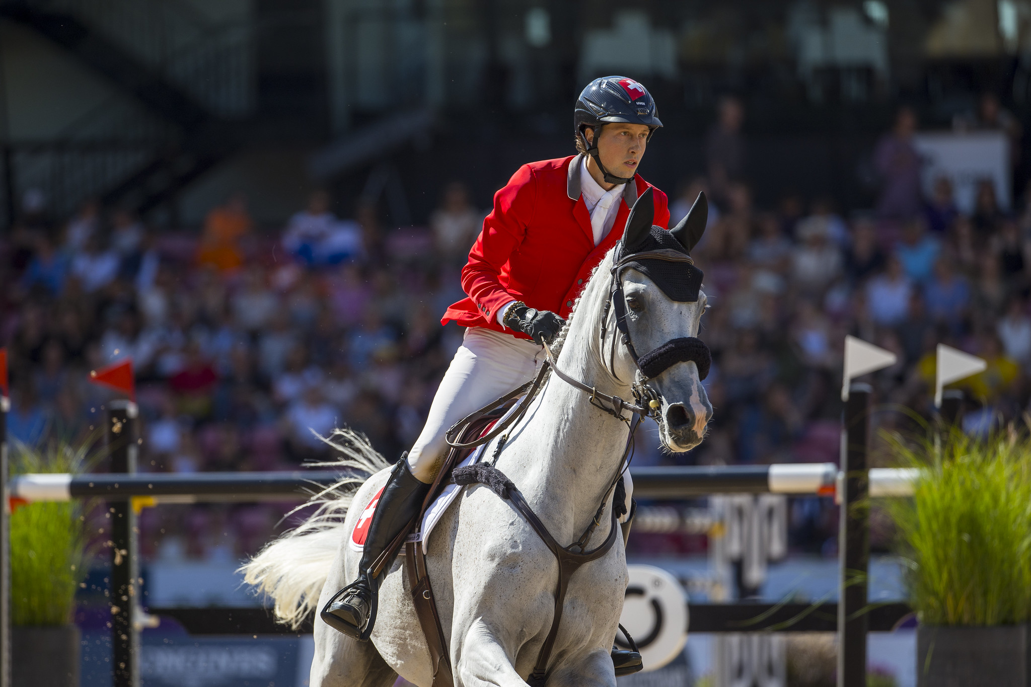 Will History Repeat Itself? Riders to Watch at the 2023 FEI Jumping ...